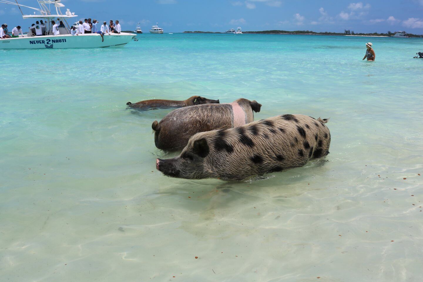 Exuma Travel Guide – The Best Things to do in The Exumas ...