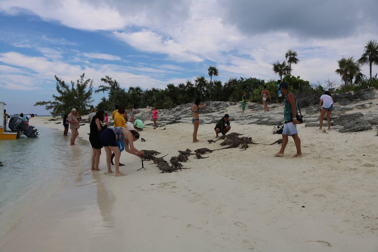 Exuma Travel Guide – The Best Things to do in The Exumas ...