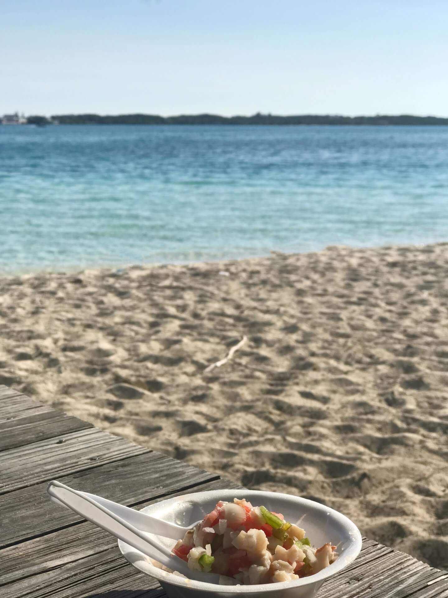 Exuma Travel Guide – The Best Things to do in The Exumas ...